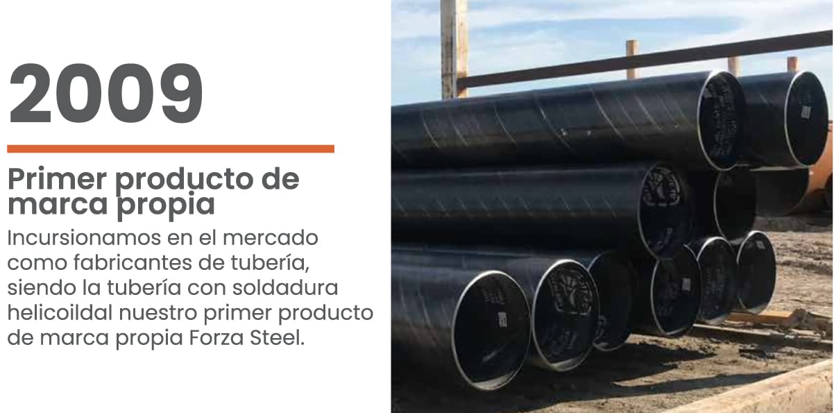 Historia - Forza Steel